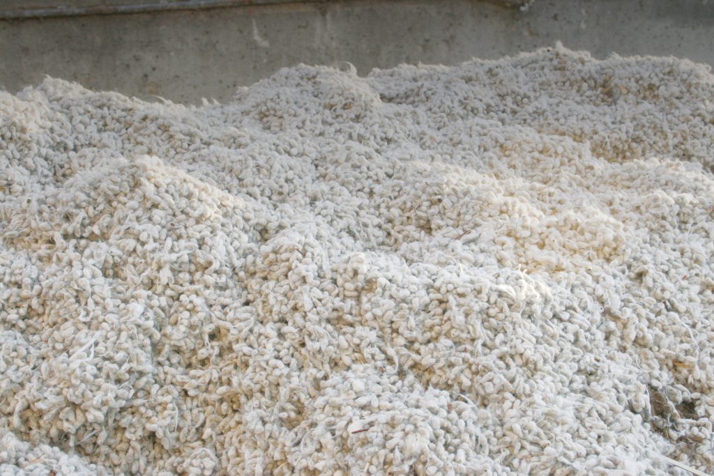 header-image-3a - Whole Cottonseed