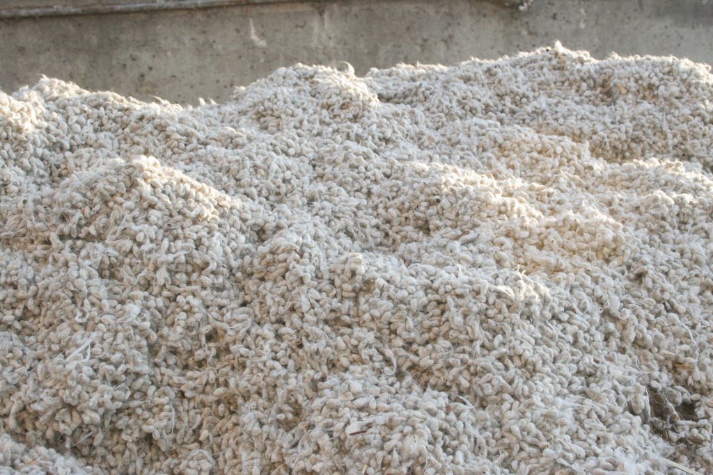 feeding-and-storage - Whole Cottonseed