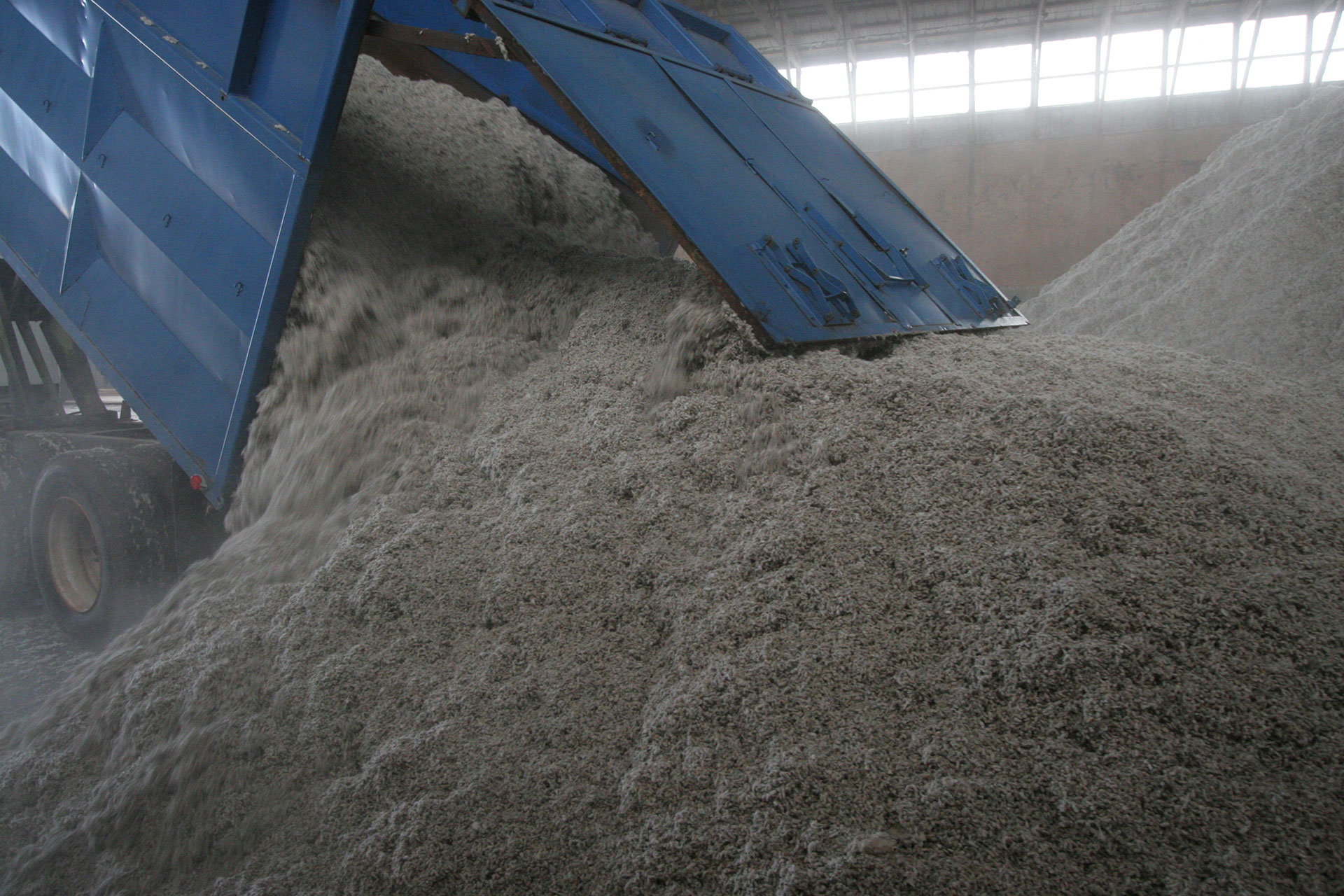 Nearly A Million More Tons Of Cottonseed Projected To Be Available For ...